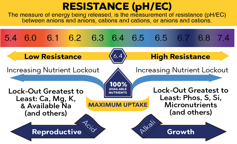 BlueGold® pH Adjusters (pH UP & pH DOWN) – BlueGold® by Eden Solutions